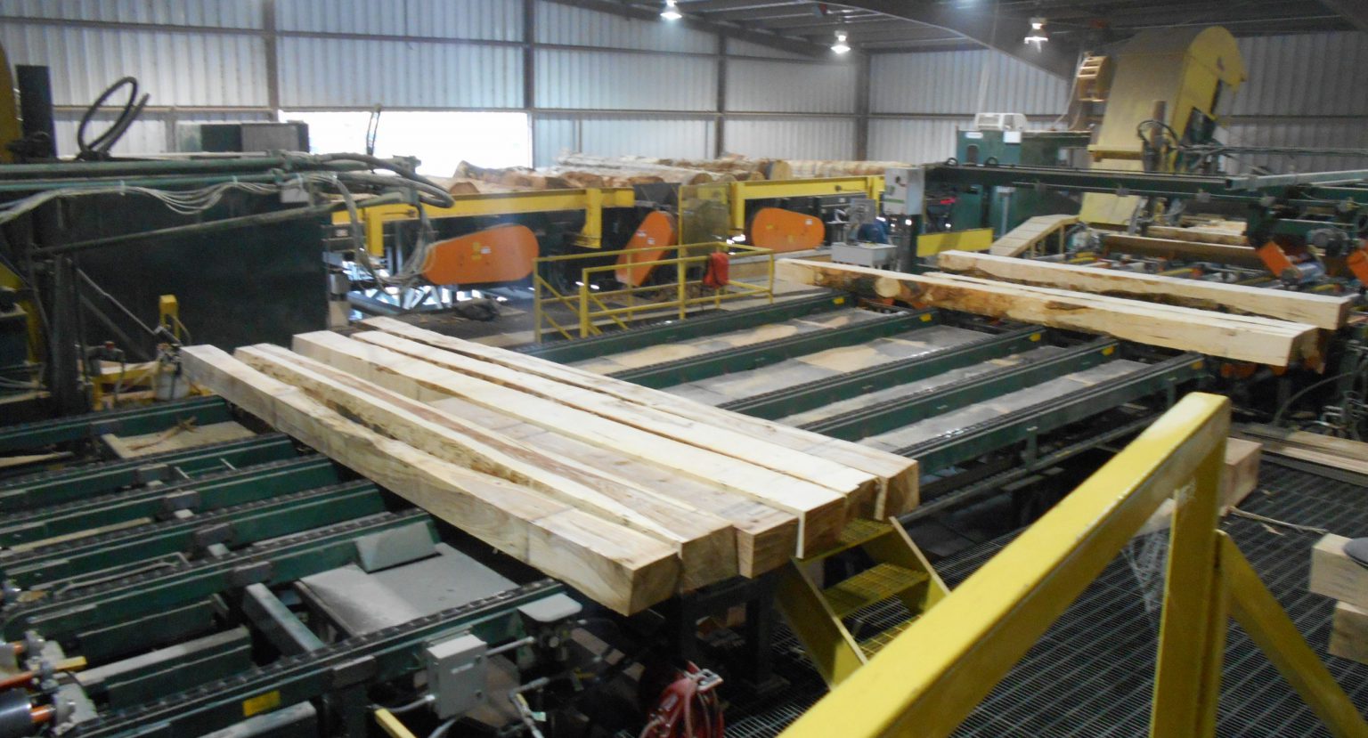 About Us - Fly Timber